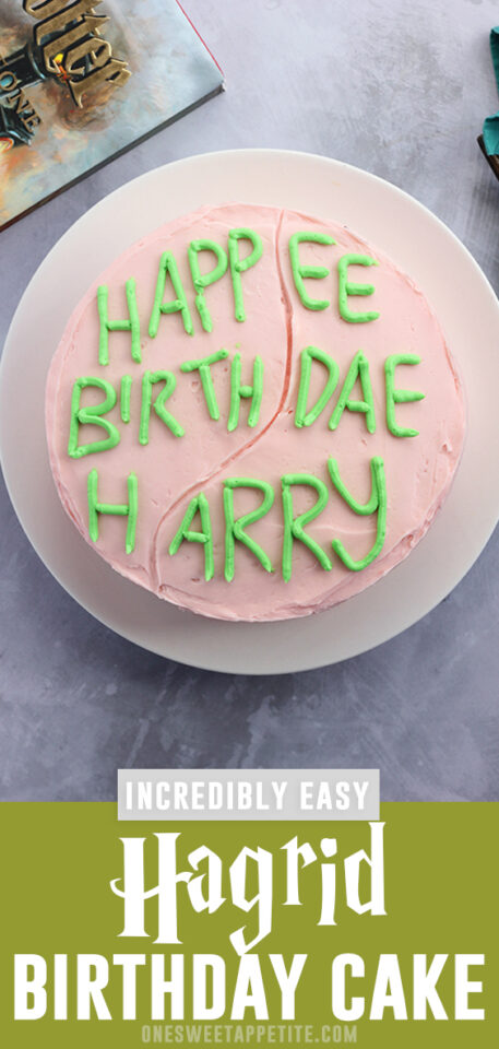 Harry Potter Hagrid Birthday Cake (Easy Chocolate Layer Cake) - One ...