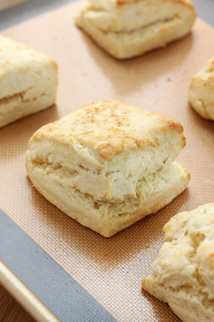 Best Cream Biscuit Recipe - One Sweet Appetite