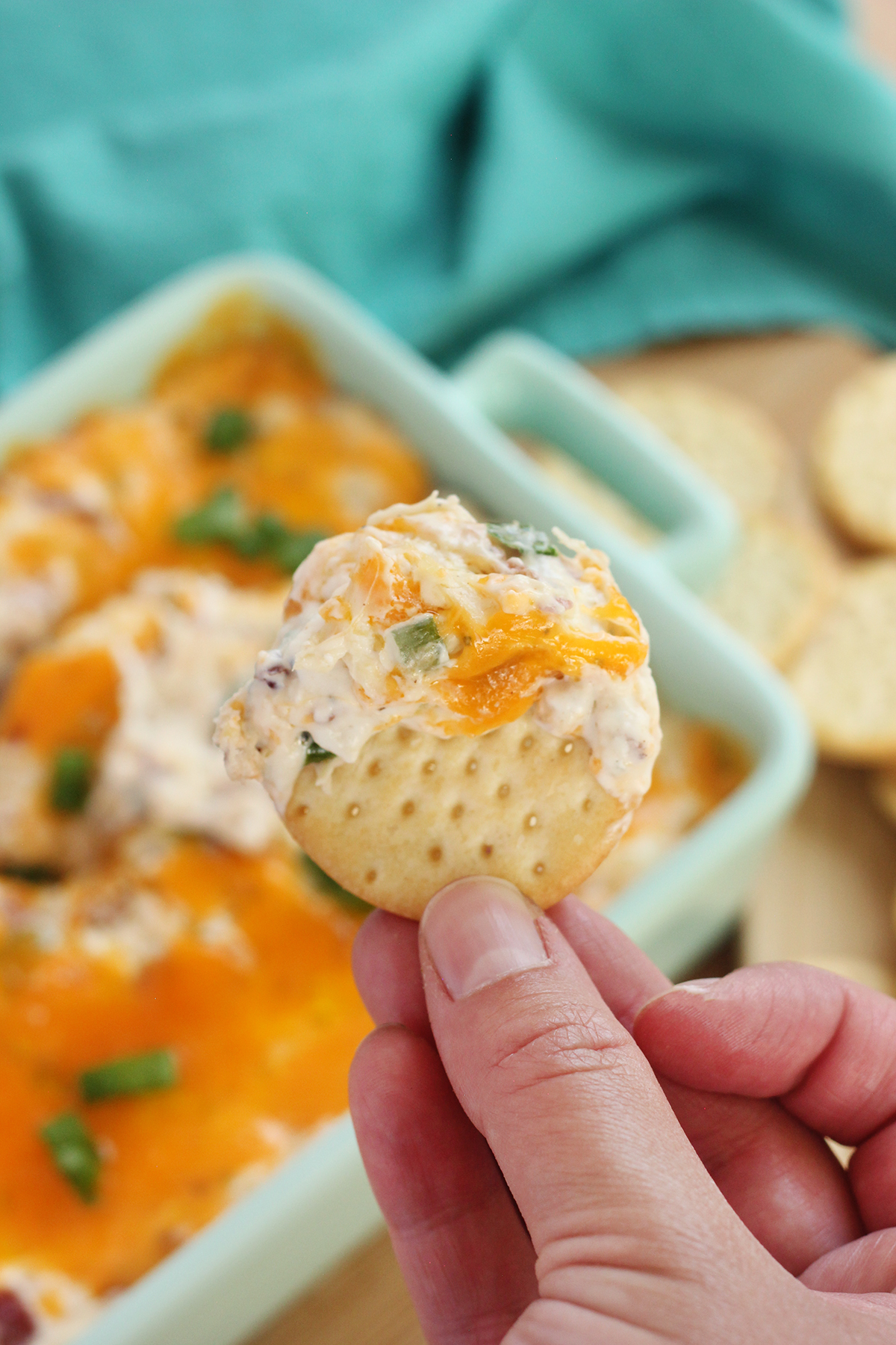 Chicken Bacon Ranch Dip - One Sweet Appetite