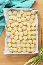 Loaded Tater Tots Recipe - One Sweet Appetite