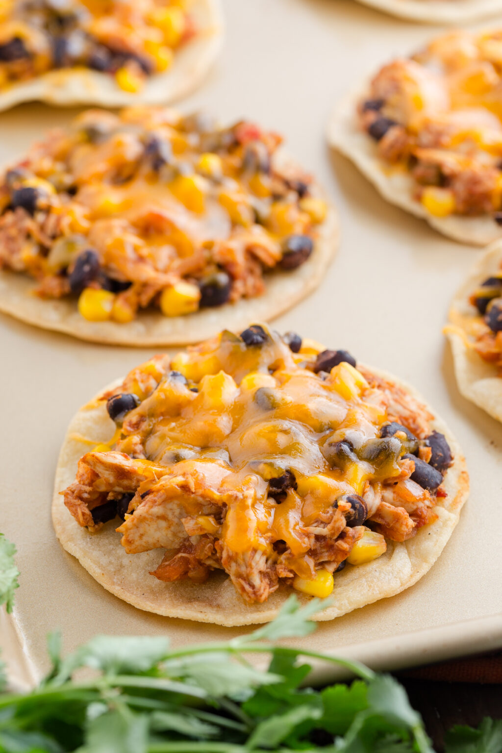 Chicken Tostadas - One Sweet Appetite